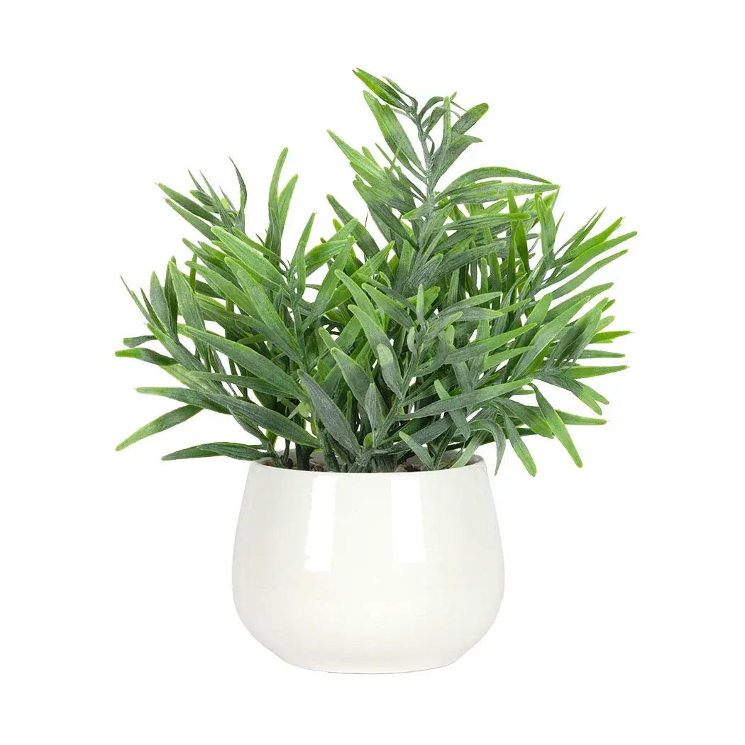 Herb Bush - Potted Ceramic - Fine Goods Lifestyle