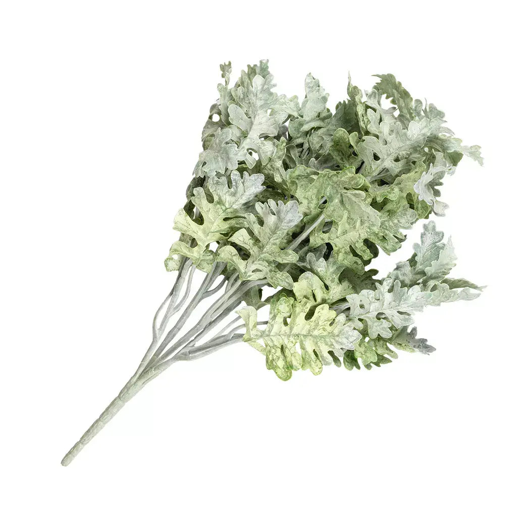 Sprig - Dusty Miller Bush 42cm - Fine Goods Lifestyle